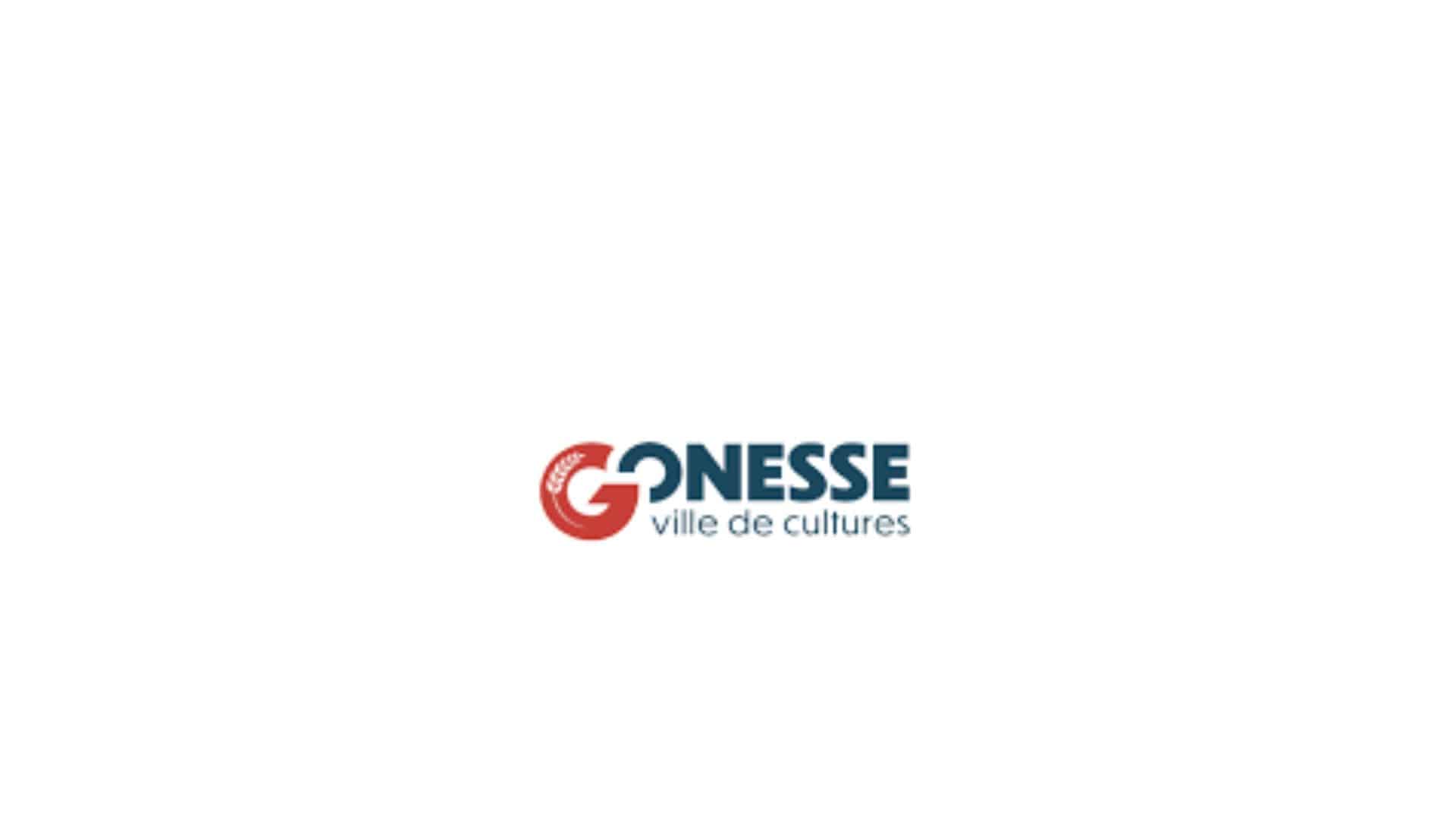 Directeur des services techniques et de l'aménagement du territoire ...